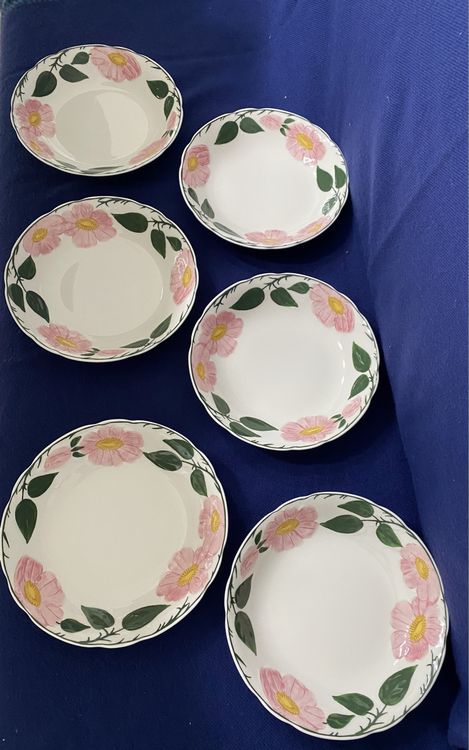Villeroy Boch Wildrose Suppenteller 6 x 🌸 (Gebraucht) in Opfikon für CHF 120 – mit Lieferung auf ...