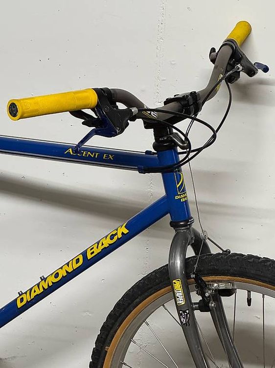 Dimondback Retro Bike (Gebraucht) in Zürich für CHF 490 – nur Abholung auf Ricardo kaufen