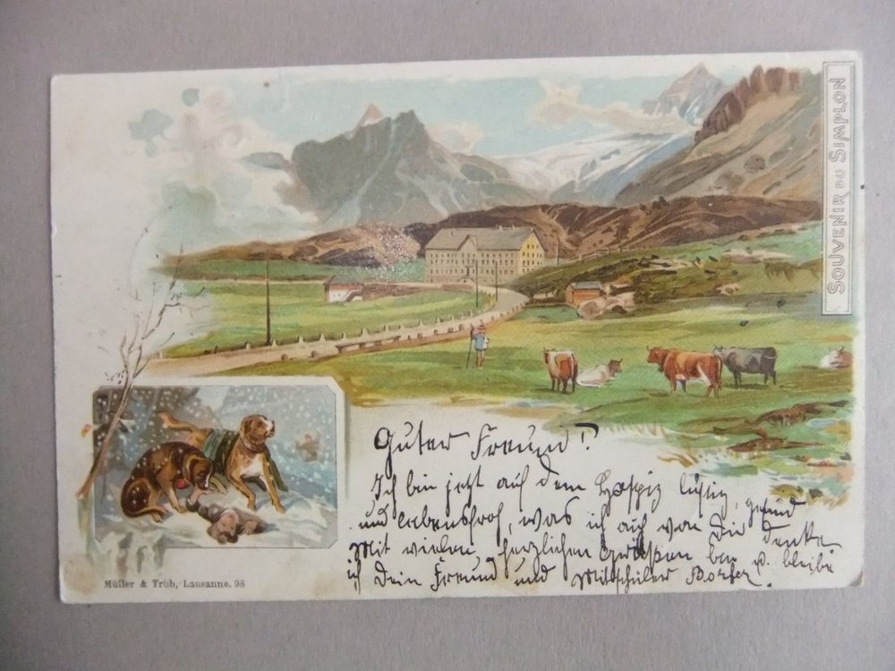 Souvenir du Simplon Lithografie Simplon Hospiz Bernardiner (Gebraucht) in St. Niklaus VS für CHF ...