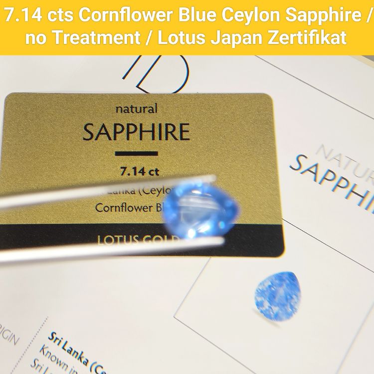 7.14 Karat KORNBLUMEN BLAU Ceylon SAPHIR Lotus Japan Zert. (Neu (gemäss Beschreibung)) in Zell ...