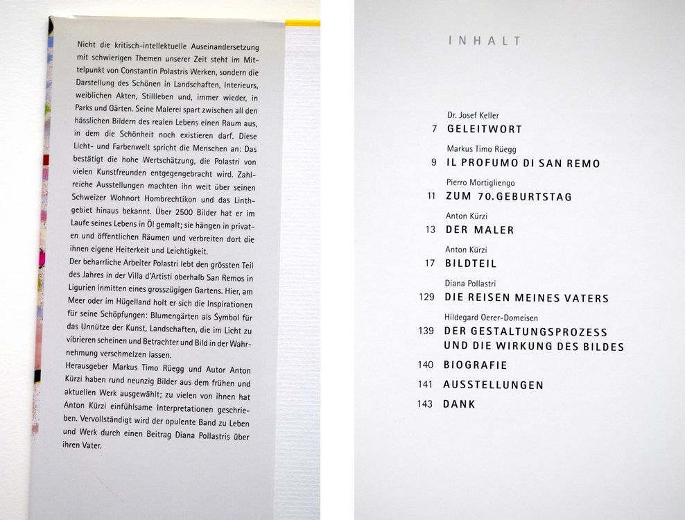 Constantin Polastri CH Rare Monografiie Markus Timo Rüegg (Gebraucht ...