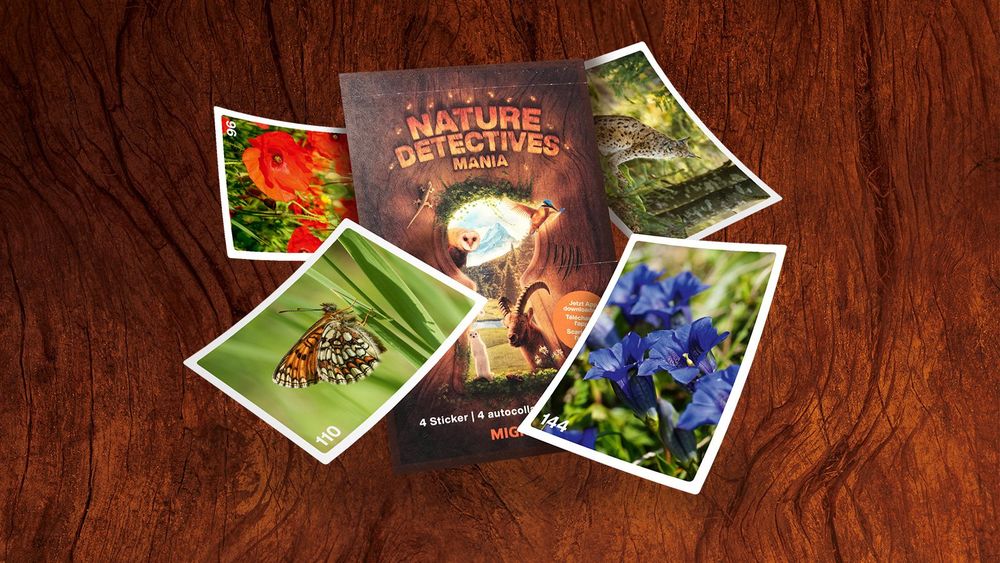 A vendre images nature détectives mania migros (Neu (gemäss ...
