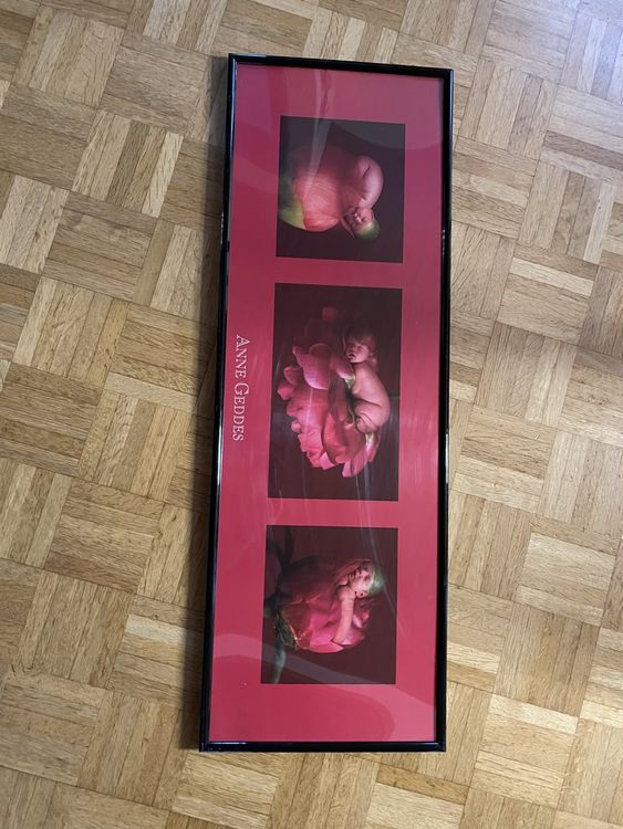 Anne Geddes Baby Bild 3er Set mit Rahmen (Gebraucht) in Niederlenz für CHF 5 – nur Abholung auf ...