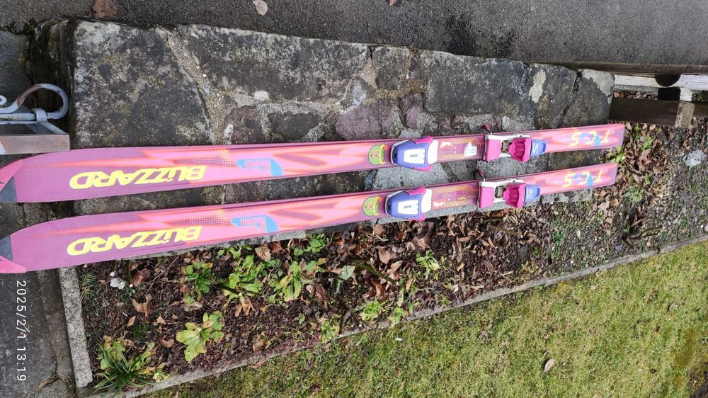 sci blizzard (Gebraucht) in Zollikerberg für CHF 100 – nur Abholung auf ...