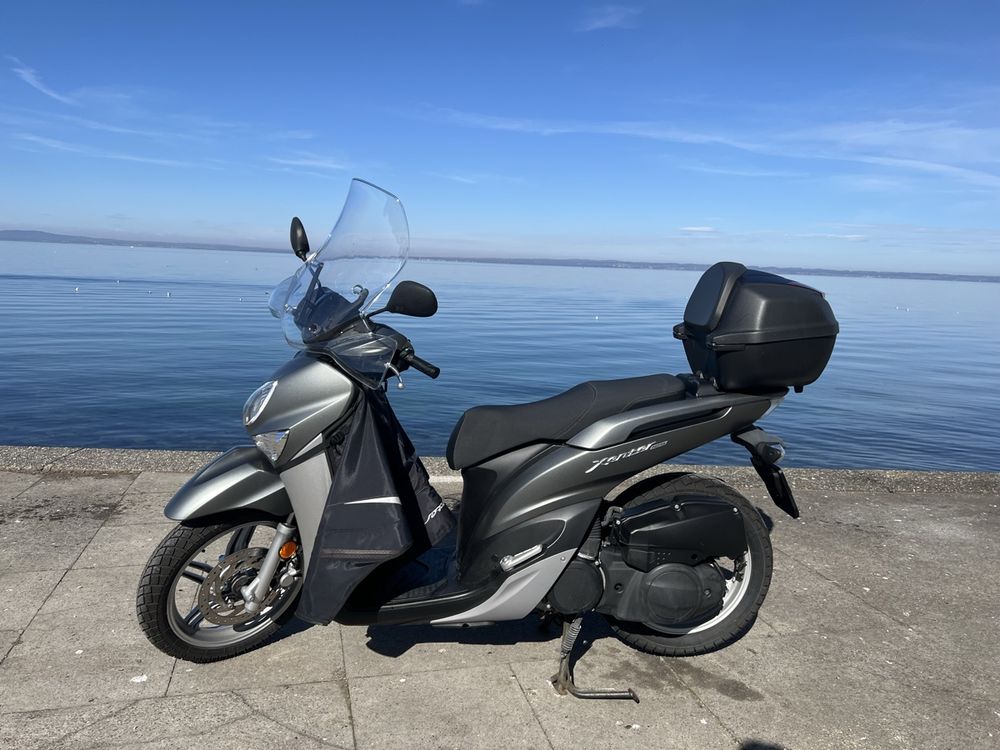 C13in101100m Cp 21 Yamaha Roller Xenter 125 Quot Indoor Quot Abdeckplane