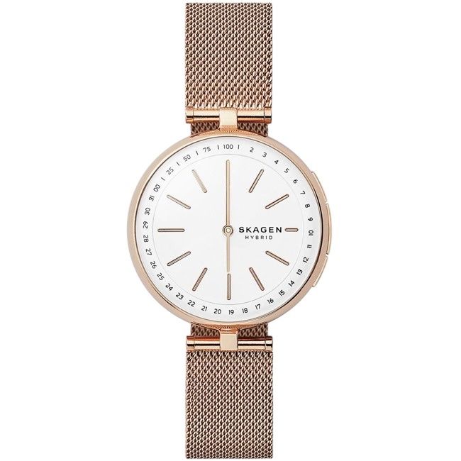 SKAGEN CONNECTED HYBRID SMARTWATCH UHR NP 299.- (Gebraucht) in LUZERN ...