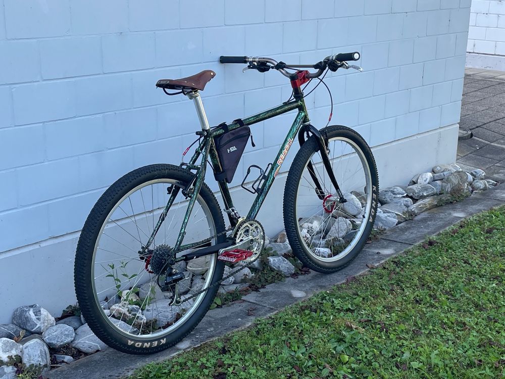 Custom Vintage MTB | Kaufen auf Ricardo