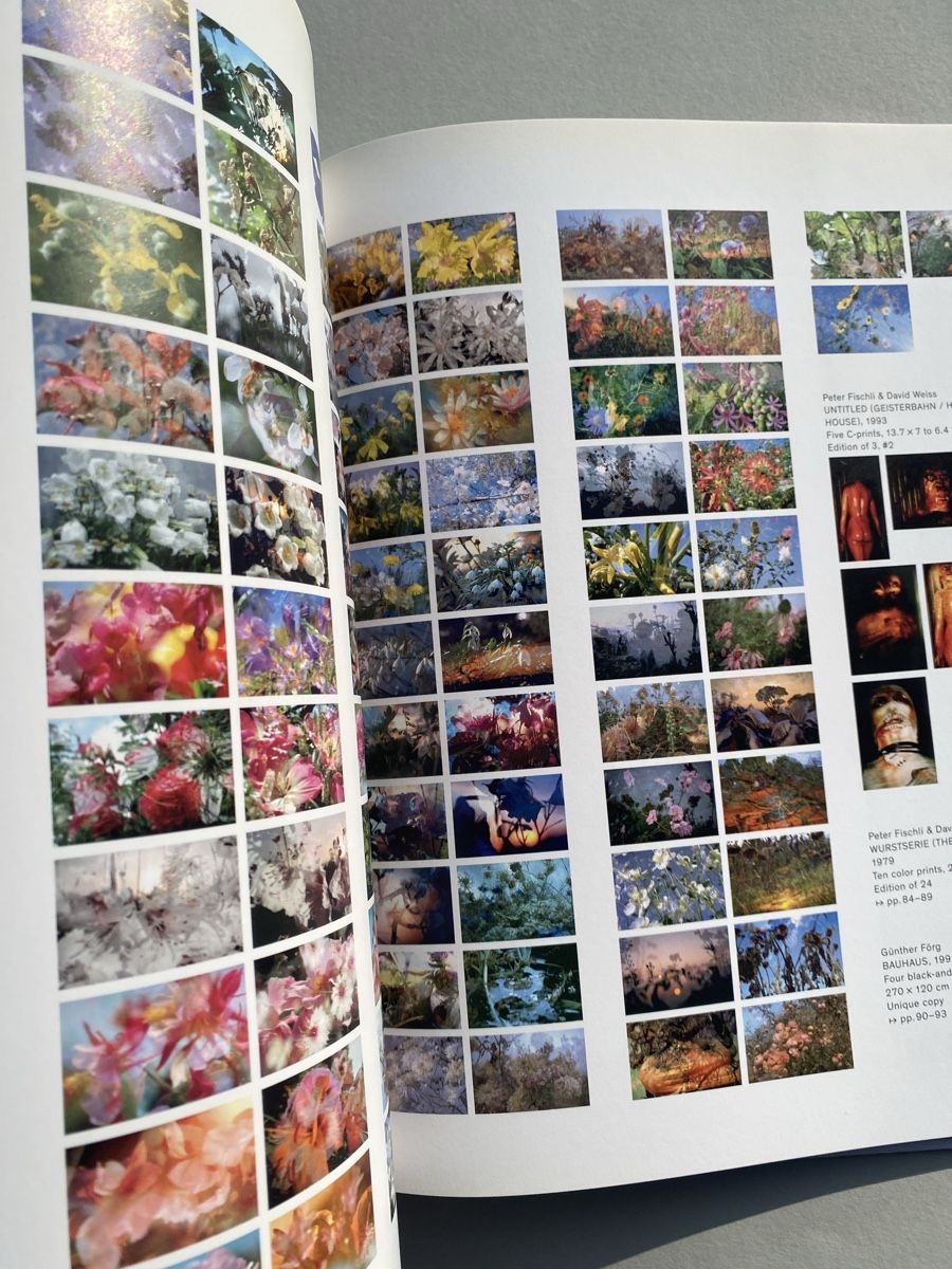 Through the Looking Brain, a Swiss Photography Collection (Gebraucht ...