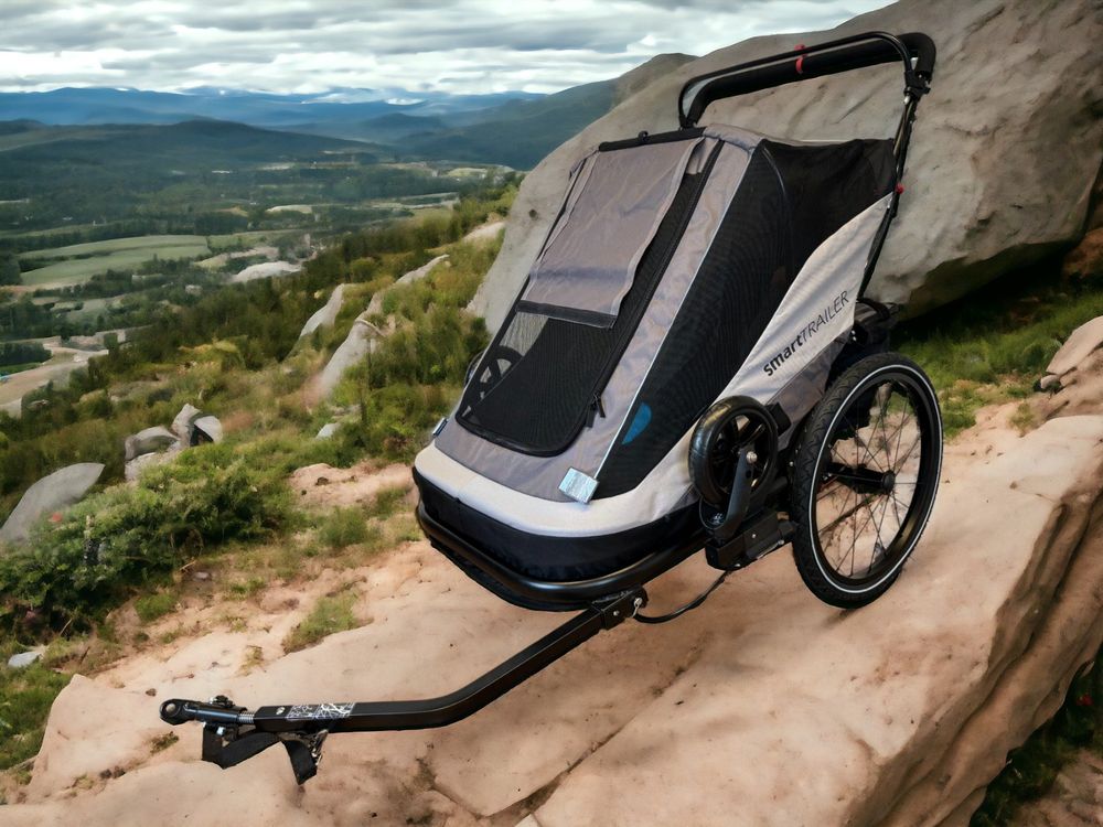 Fahrradanhanger Groe Kinder