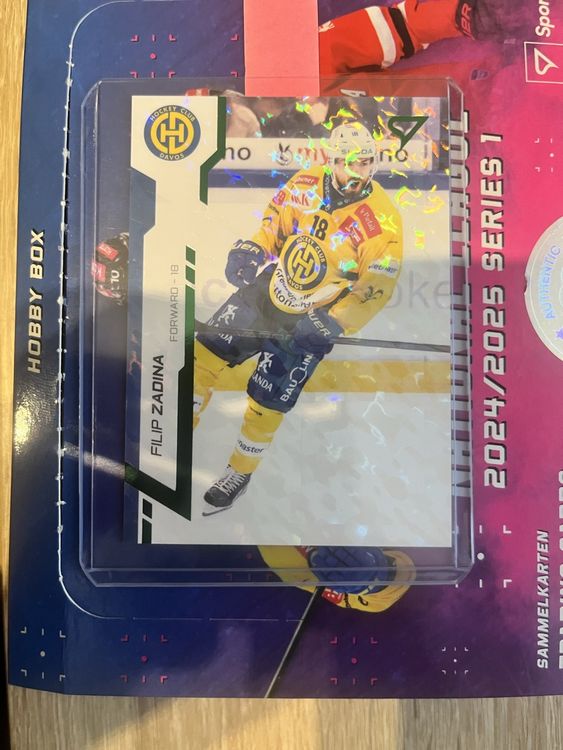 Filip Zadina green HC Davos Sportzoo Sammelkarte 2024/25 | Kaufen auf ...