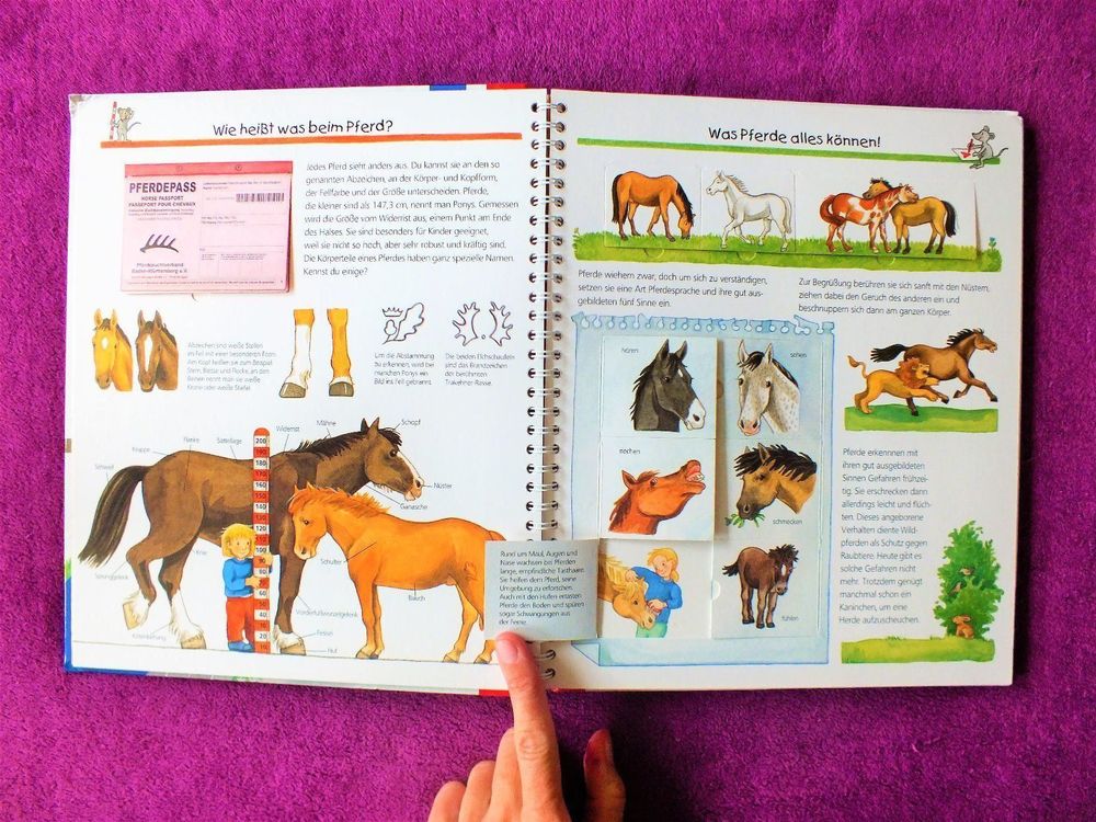 Wieso Weshalb Warum Buch - Alles über Pferde und Ponys | Acheter sur ...