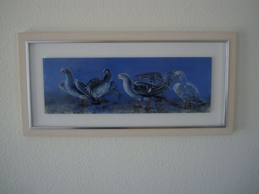 Hans Erni Bild 'Friedenstauben' | Kaufen auf Ricardo