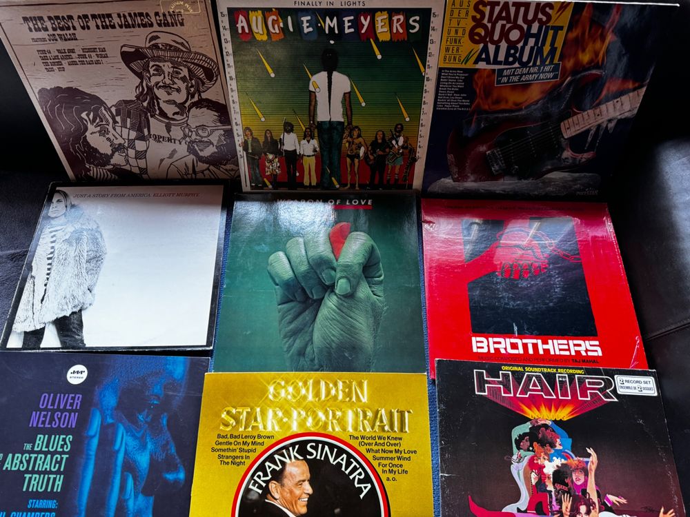 9 x Vinyl Sammlung Status Quo,Taj Mahal,Elliott Murphy u.a. | Kaufen ...