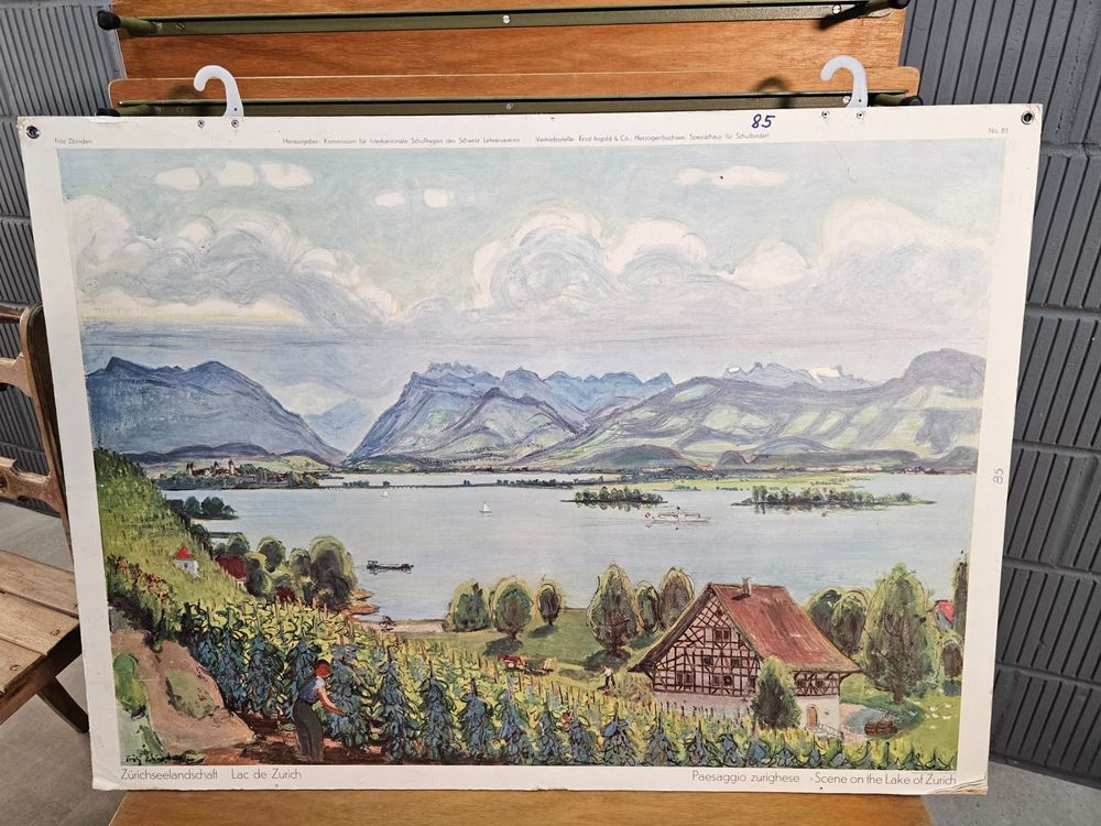 Fritz Zbinden Schulwandtafel Bild 85 Zürichseelandschaft, 55 (Gebraucht ...