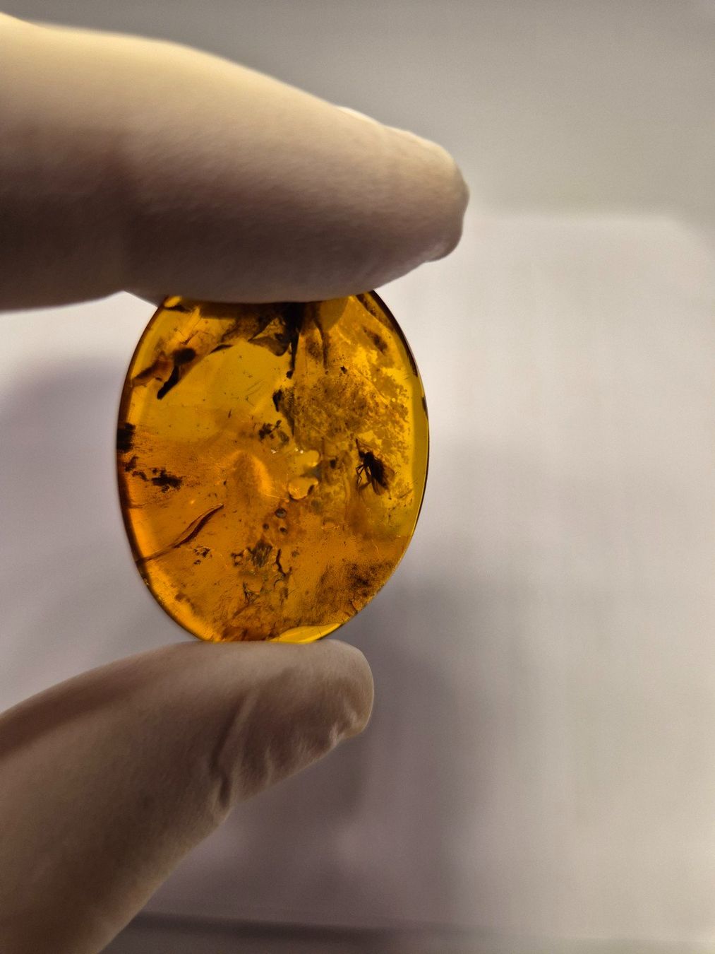 Ambre baltique naturel avec inclusion d’insecte – env. 4 cm (D'occasion ...