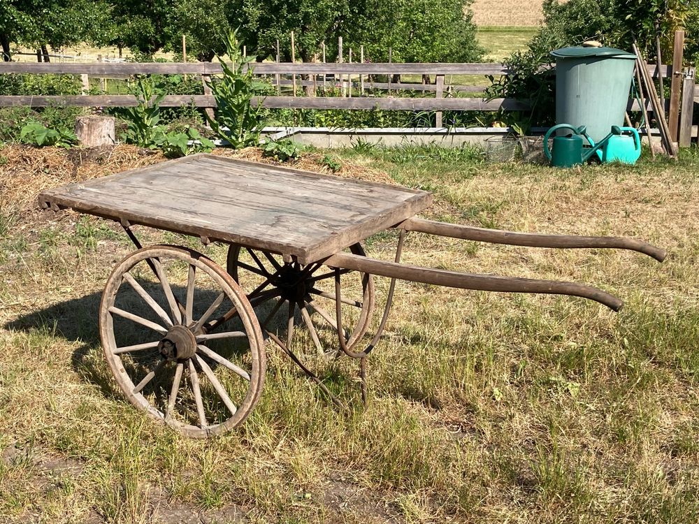 Brückenwagen / Handkarren (Gebraucht) in Neuenhof für CHF 55 – nur ...