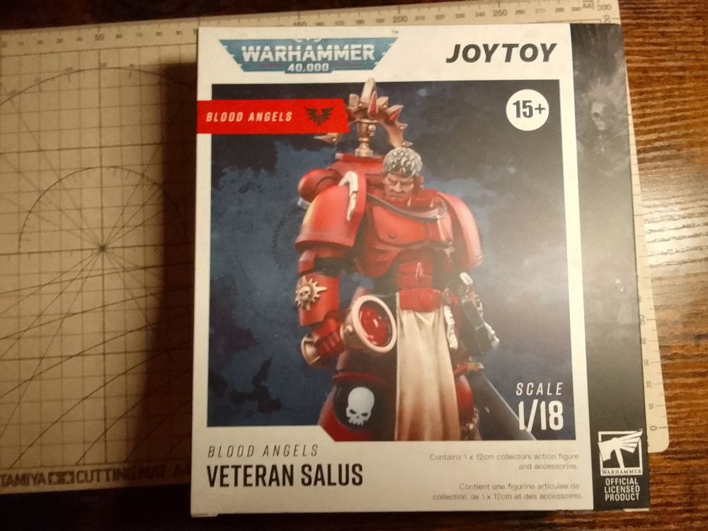 JoyToy WH40K Blood Angels Veteran Salus (Neu (gemäss Beschreibung)) in ...
