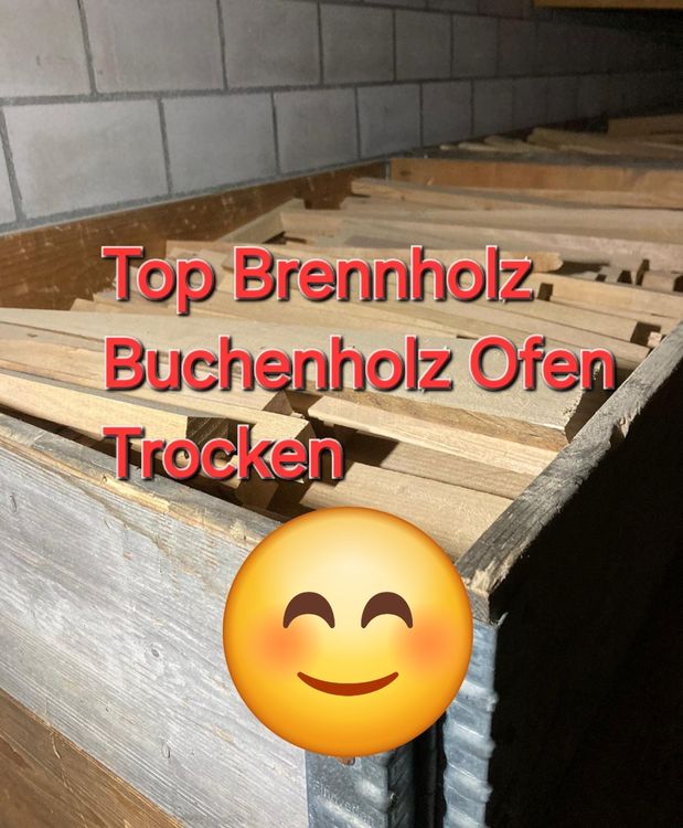 Brennholz Buche, Ofen Trocken Cheminée (Neu und originalverpackt) in ...