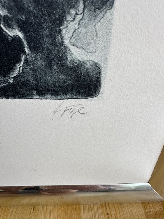 Hans Fitze (1943) Farblithographie, signiert nummeriert (Gebraucht) in Zürich für CHF 50 – nur ...