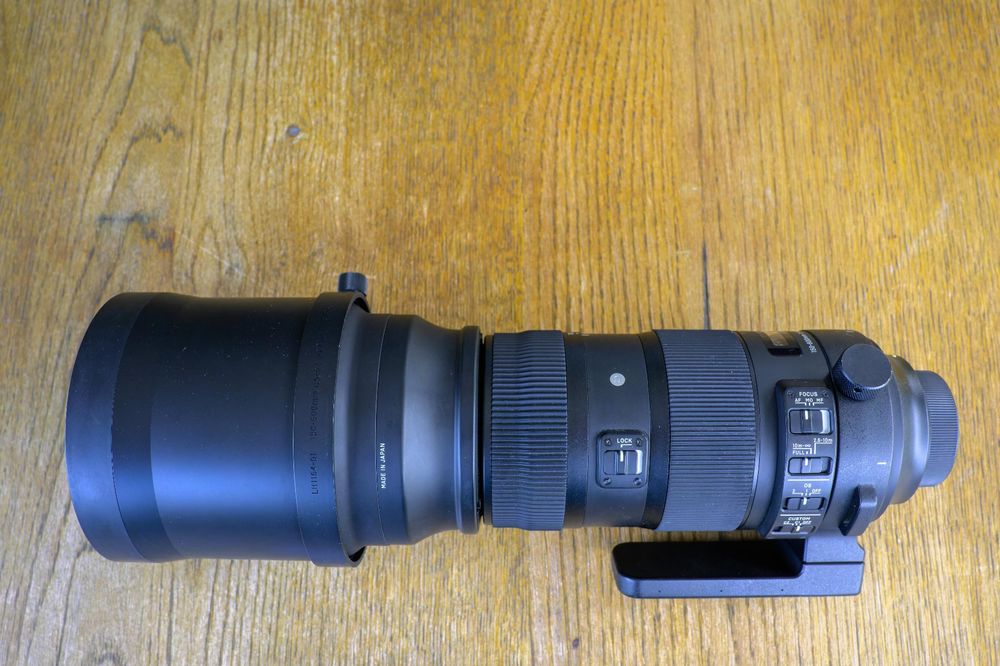 Sigma 150mm-600mm F5.6-F6.3 Sport Nikon F-Mount & Zubehör (Gebraucht ...