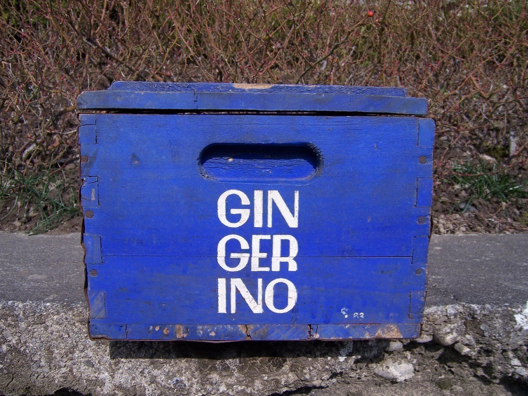 alte Holzkiste GINGERINO RECOARO (Gebraucht) in Kerzers für CHF 95 ...