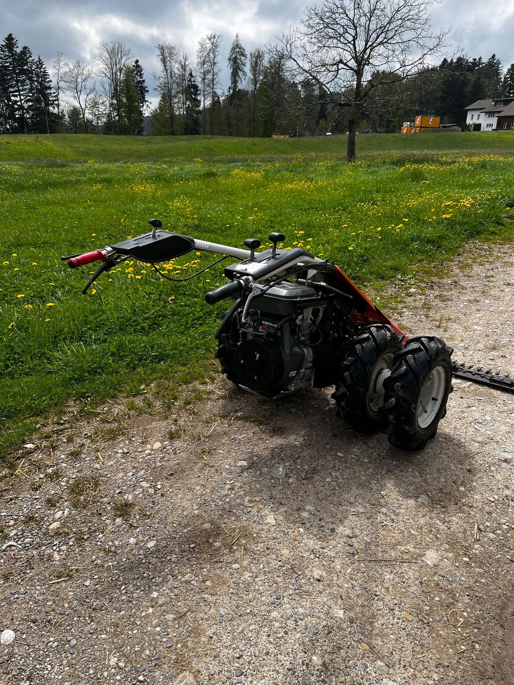 Motormäher Reform M3L (Gebraucht) in Gibswil für CHF 3000 – nur Abholung auf Ricardo kaufen