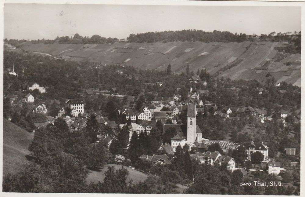 Thal | Kaufen auf Ricardo