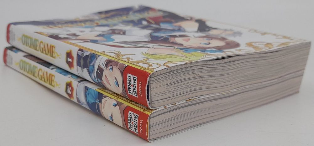 Manga Otome Game tomes 1 et 2 – Yamaguchi & Hidaka – Tonkam (D'occasion ...