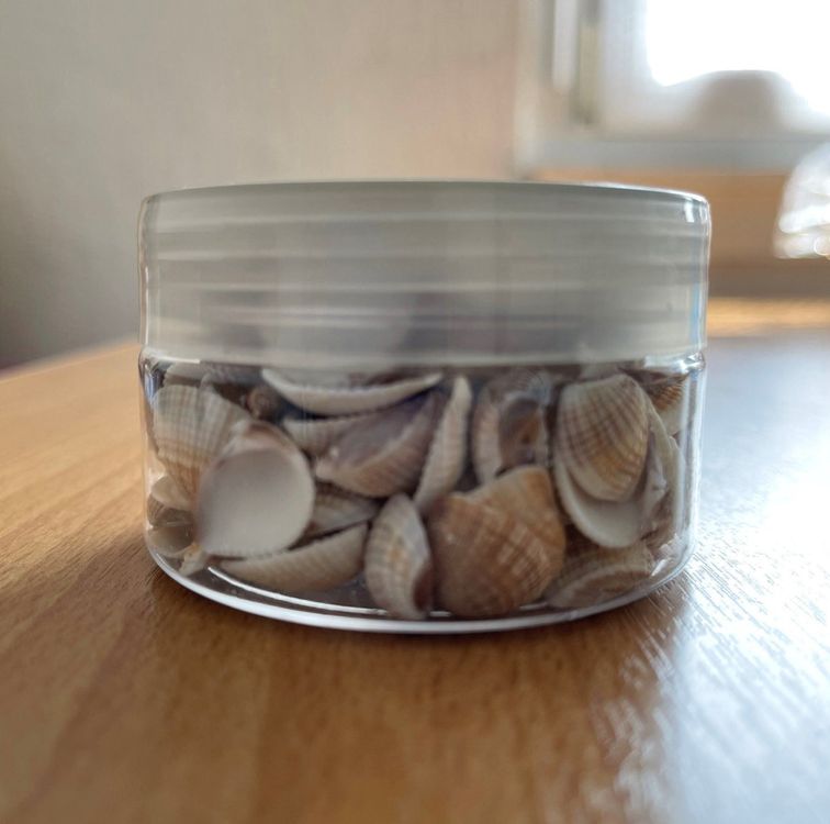Mini Muscheln als Deko oder zum Basteln (Neu und originalverpackt) in ...