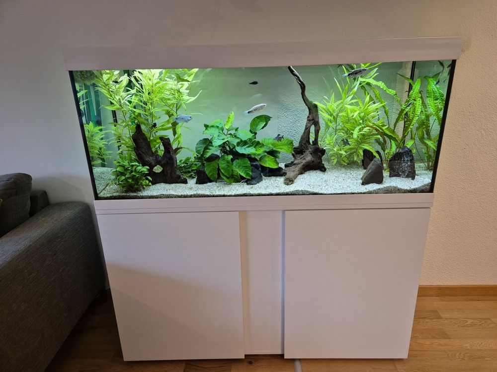 EHEIM vivaline 240 Aquarium. Komplettset in TOP Zustand. (Gebraucht) in Frauenfeld für CHF 665 ...