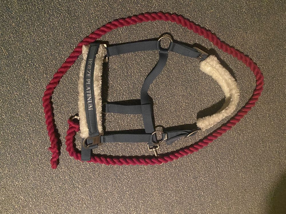 Div. Halfter mit Stricken/ Zaum und Seil für Bodenarbeit (Neu (gemäss ...