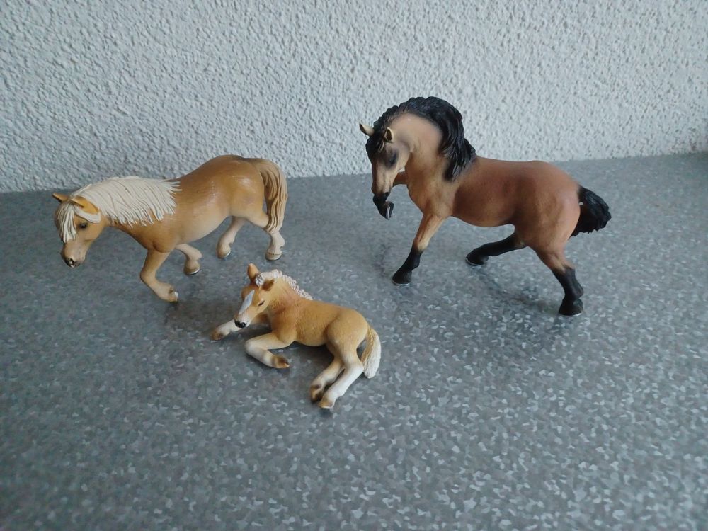 3 Schleich Pferde .Gemäss Bilder. Ab 1.- (Gebraucht) in Hagendorn für CHF 6 – mit Lieferung auf ...