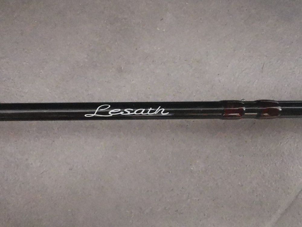 SHIMANO LESATH AX 210 (Gebraucht) in Rhäzüns für CHF 150 – mit ...