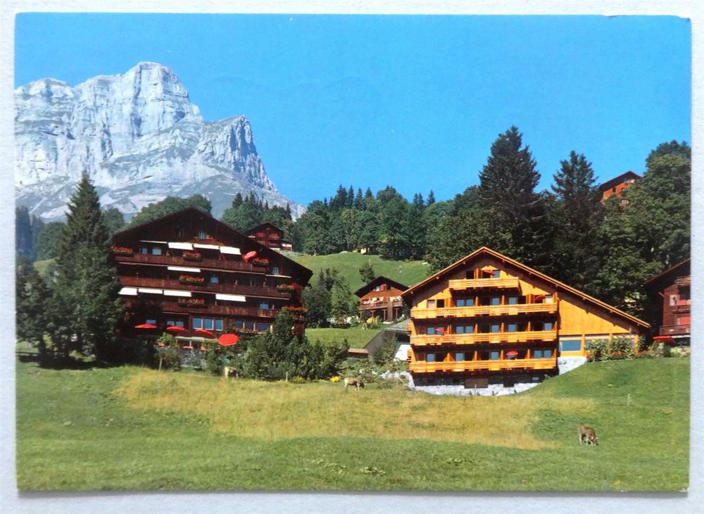 Braunwald GL, 1975 (D'occasion) à pour CHF 1 – avec livraison | Acheter sur Ricardo