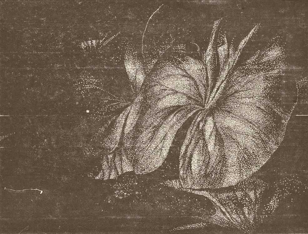 Franz Gertsch. | Kaufen auf Ricardo