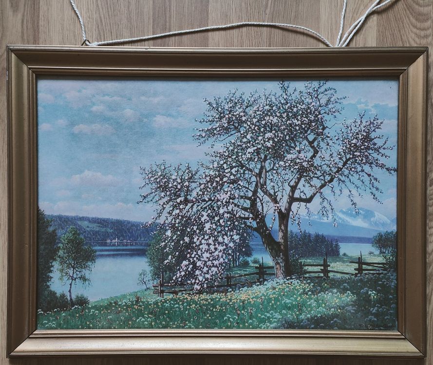 Fritz Müller Landeck «Frühling, blühende Bäume» Original Oel | Kaufen ...