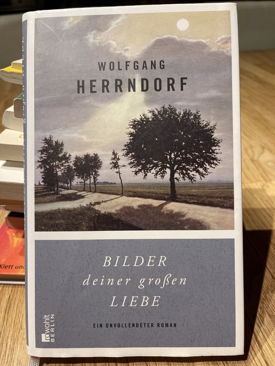Wolfgang Herrndorf Bilder deiner grossen Liebe | Kaufen auf Ricardo