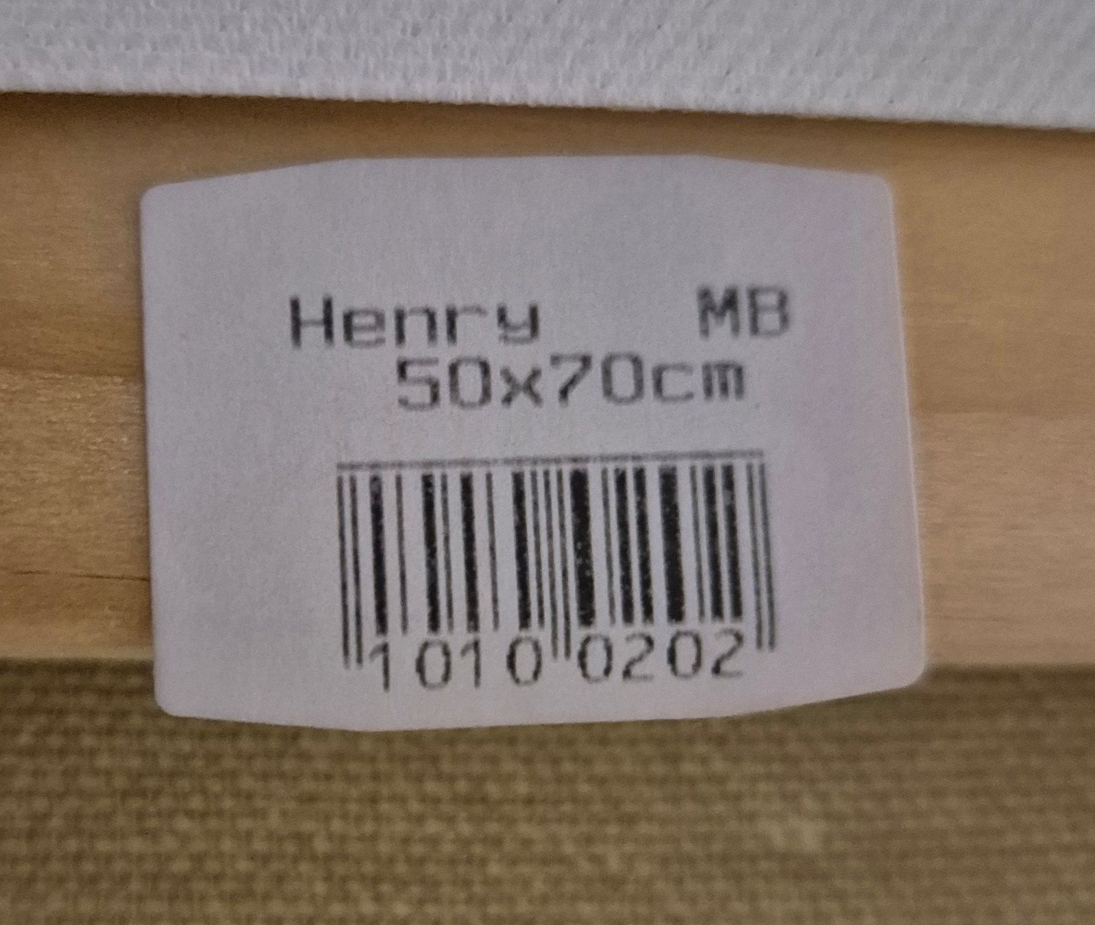 6 GROSSE NEUE LEINWÄNDE 4x50 x 70 und 2x60 x 60 (Neu und ...