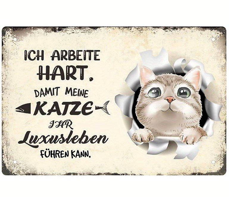 🐾 Ich arbeite hart, damit meine Katze ihr Luxusleben...🐾💫 (Neu und ...
