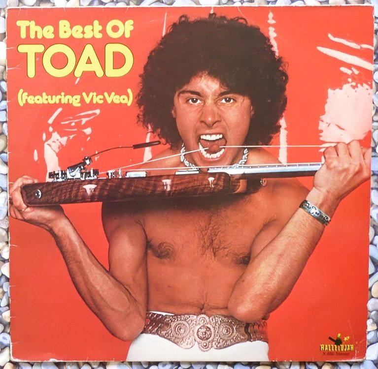 Toad – The Best Of Toad (LP) Werni Fröhlich | Kaufen auf Ricardo