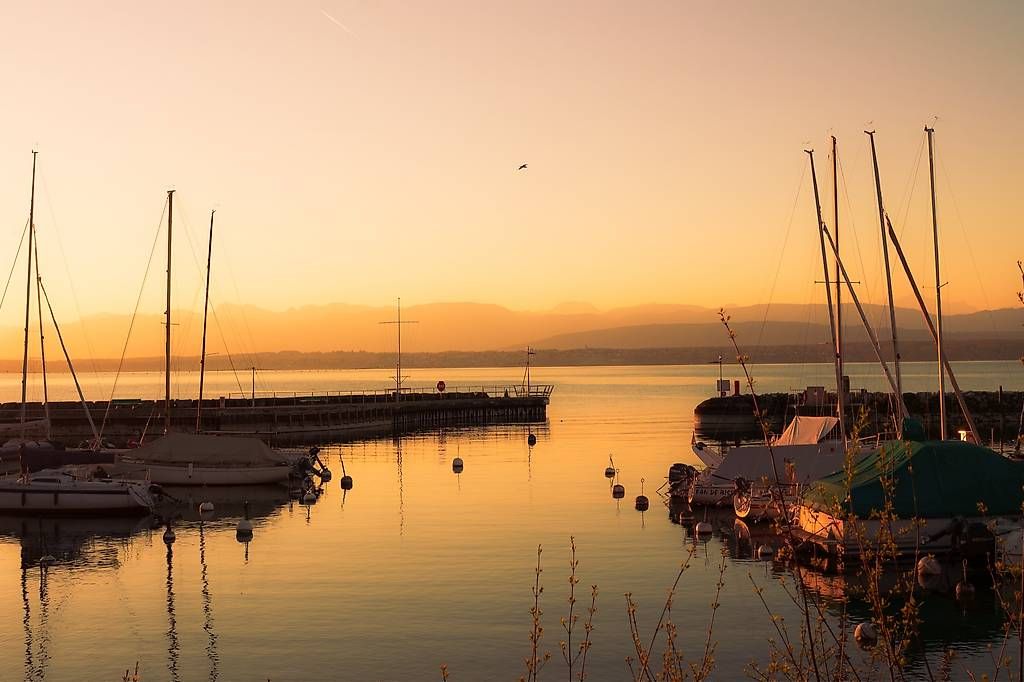 Tamron AF 28-75 mm f/2.8 Di III VXD G2 - Monture Sony E (Gebraucht) in ...