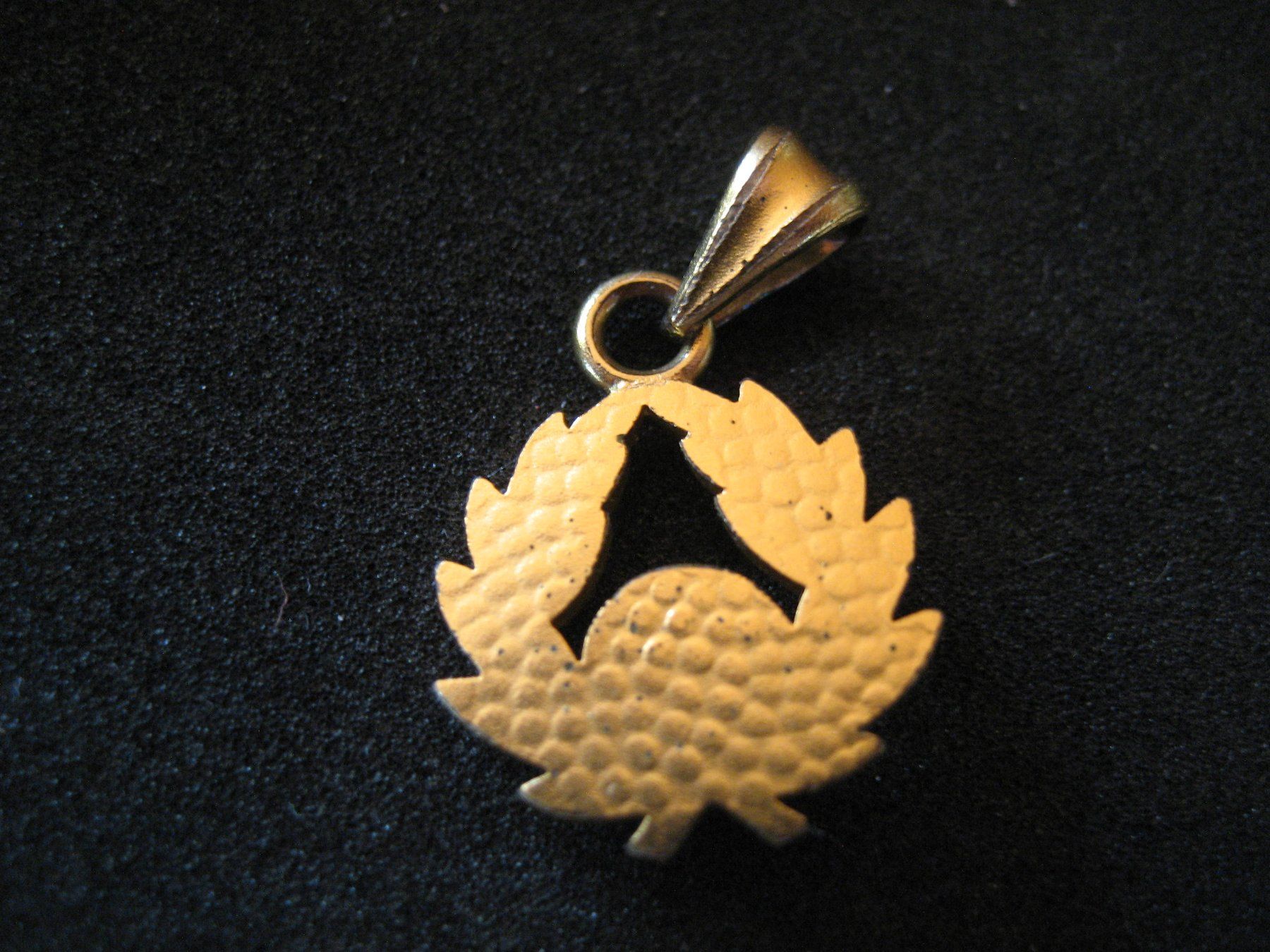 Pendentif laurier, prix société de tir (D'occasion) à Delémont pour CHF ...