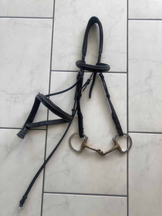 Zaumzeug für Warmblut-Pferd inkl. Trense (Gebraucht) in Neerach für CHF ...