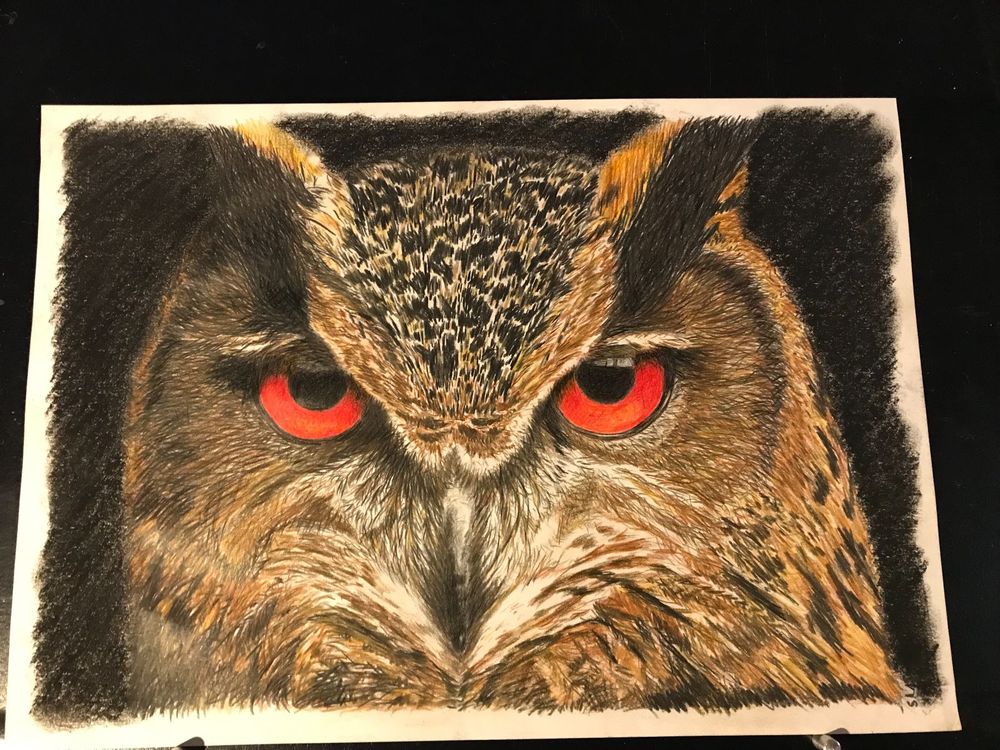 Gemälde Uhu | Kaufen auf Ricardo
