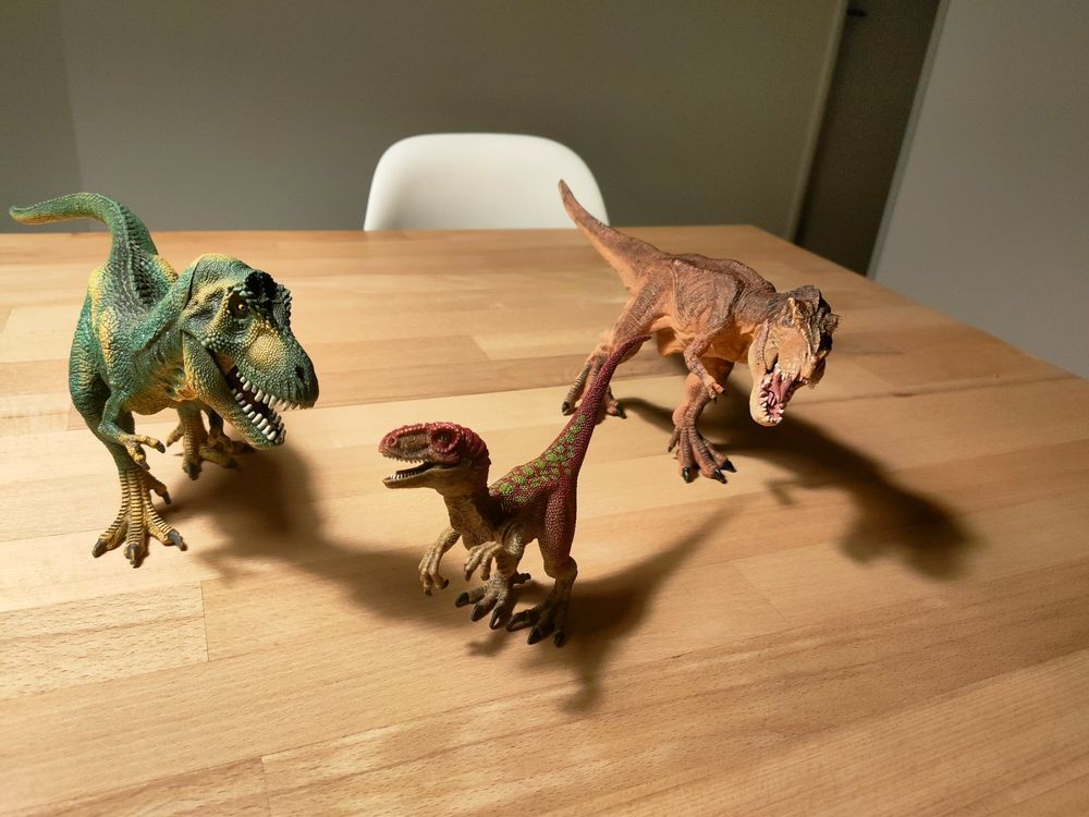 Schleich T-Rex, Velociraptor + Zubehör | Kaufen auf Ricardo