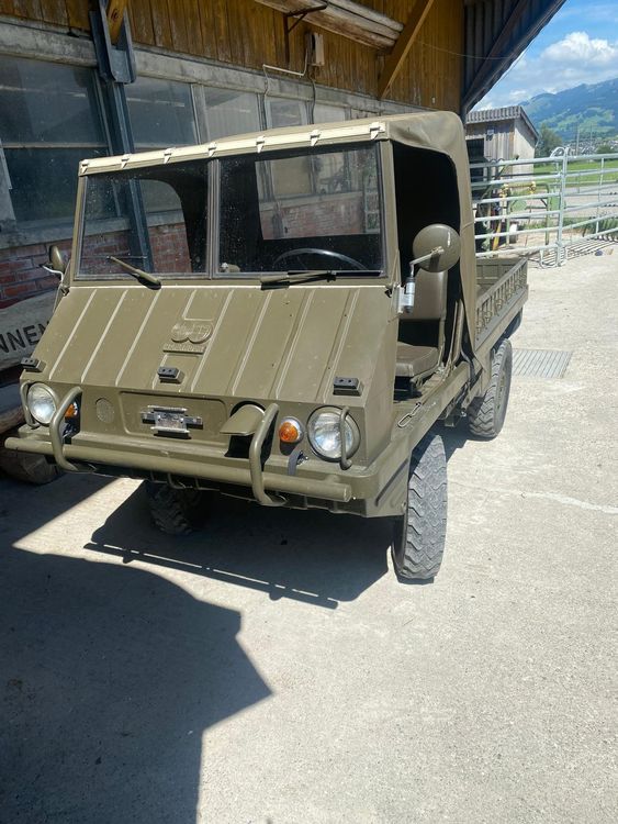 Haflinger Puch (Gebraucht) in Wangen SZ für CHF 27000 – nur Abholung auf Ricardo kaufen