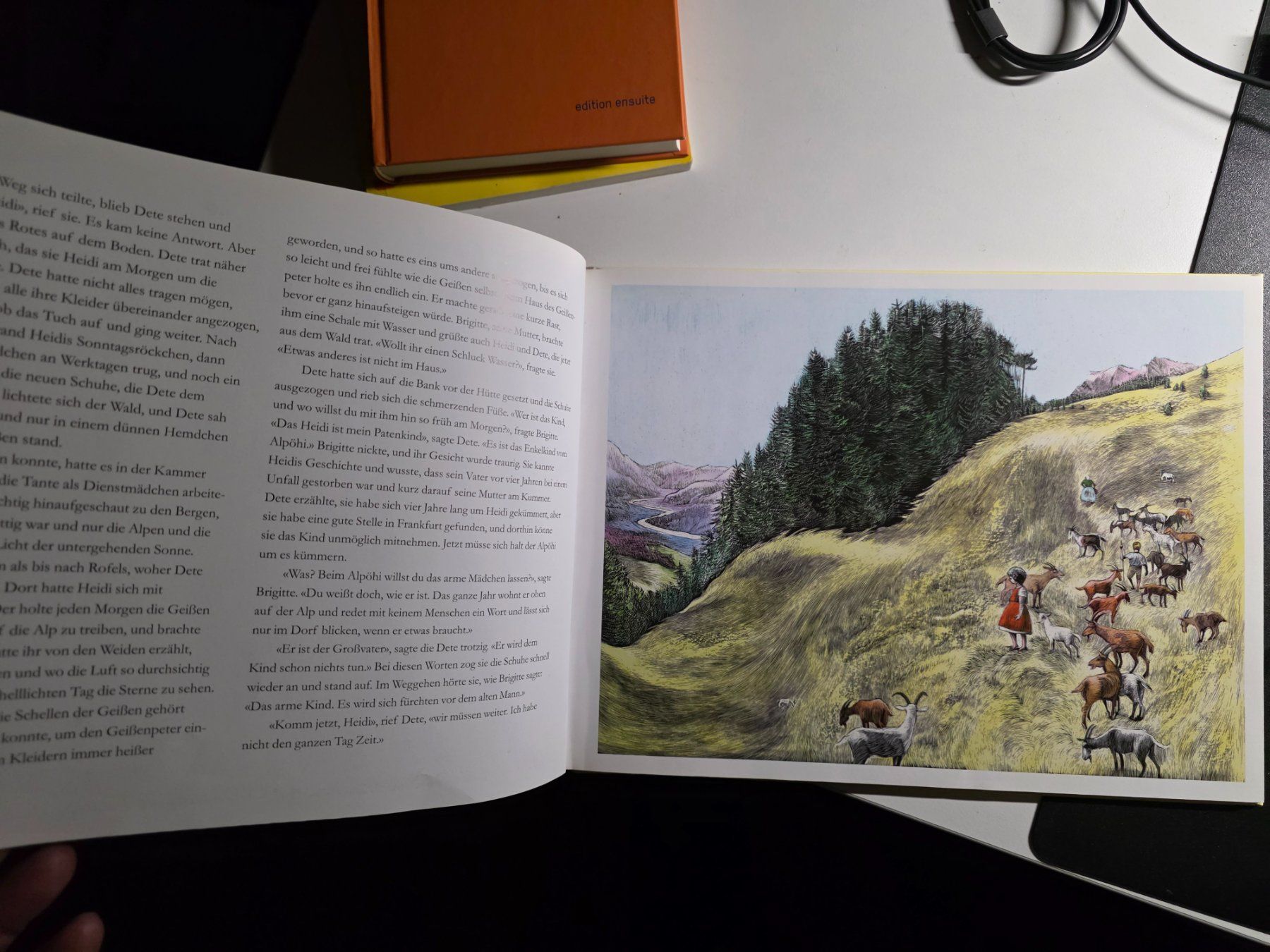 HEIDI - Nagel & Kimche - Hannes Binder Peter Stamm - 2008 (Gebraucht ...