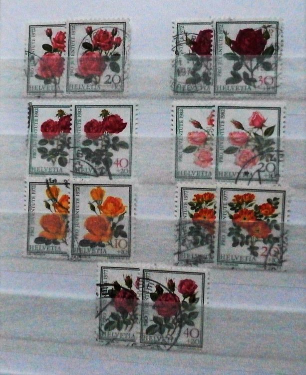 PJ Rosen (Gebraucht) in für CHF 0.8 – mit Lieferung auf Ricardo kaufen