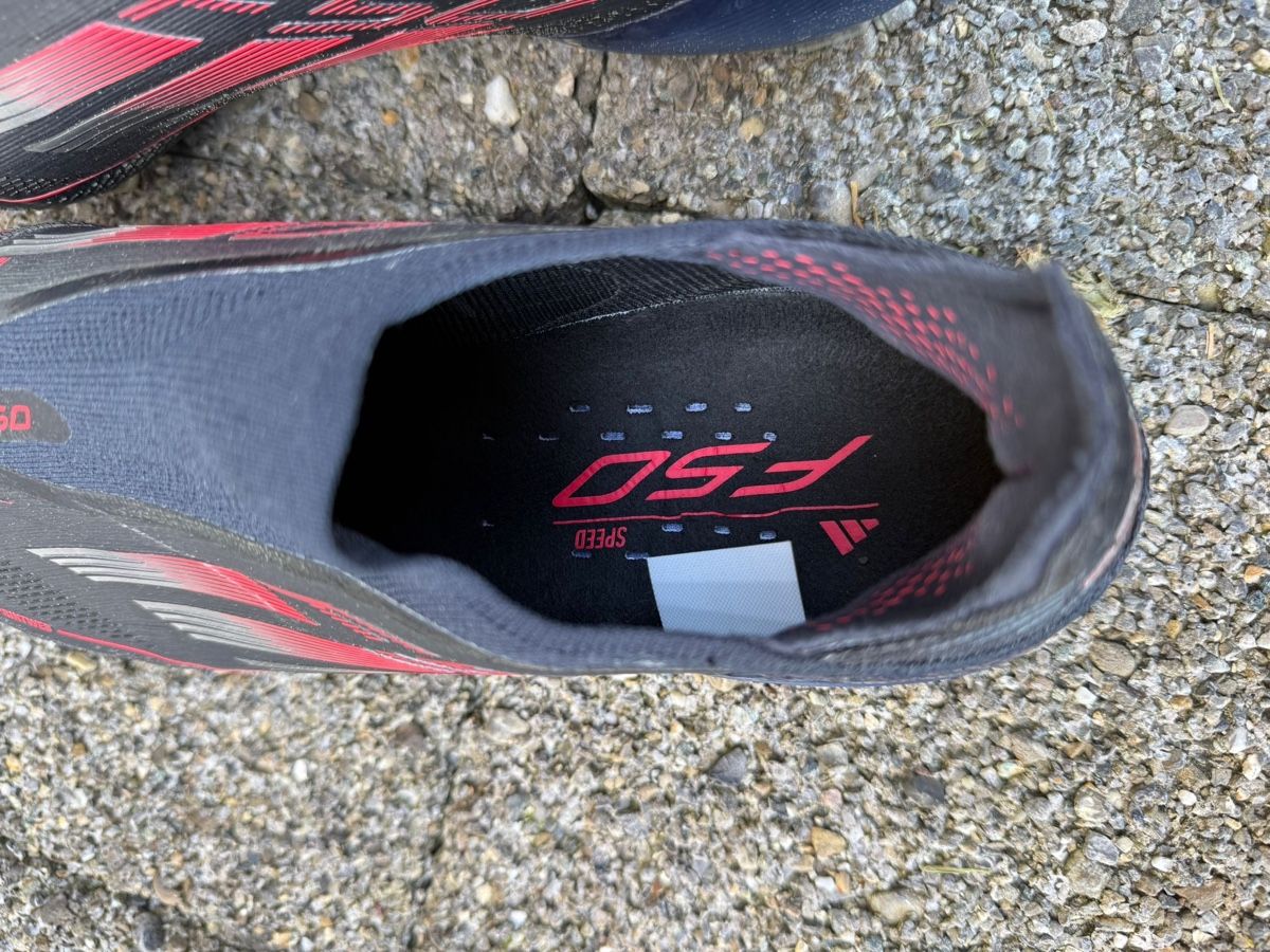 Adidas F50 Elite Laceless FG (Neu und originalverpackt) in Kriens für ...