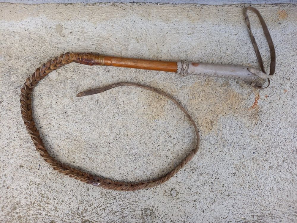 Cravache ancienne, fouet en bois et cuir tressé | Kaufen auf Ricardo